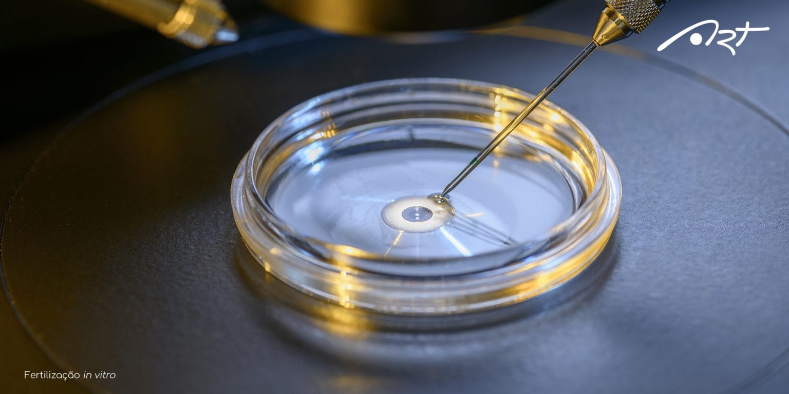 Período fértil em ciclos irregulares: como identificar? - Art Medicina ...