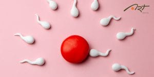 O que é embrião? - Art Medicina Reprodutiva