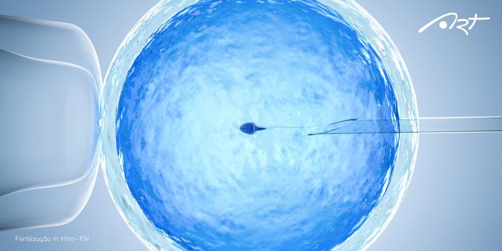 Embrião euploide e aneuploide: o que é? - Art Medicina Reprodutiva