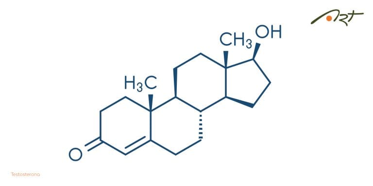 Testosterona e fertilidade: saiba mais sobre a relação - Art Medicina ...